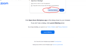How to start a test Zoom call and use it to troubleshoot audio/video ...