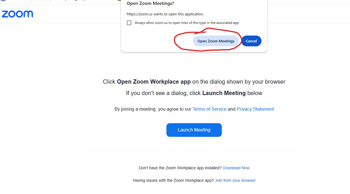How to start a test Zoom call and use it to troubleshoot audio/video ...